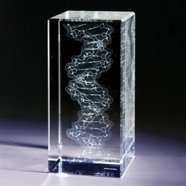 ScienceWiz DNA Kit - Walmart.com