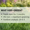 Jonathan Green Veri-Green All-Purpose Lawn Food, Nitrogen Fertilizer ...