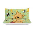 Cartoon Bear Bedding Set 3 Piece, Duvet Cover Set – 1 Duvet Cover And 2 ...