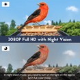 Birdkiss Smart Bird Feeder with Camera, 1080P HD Bird Watching Camera ...