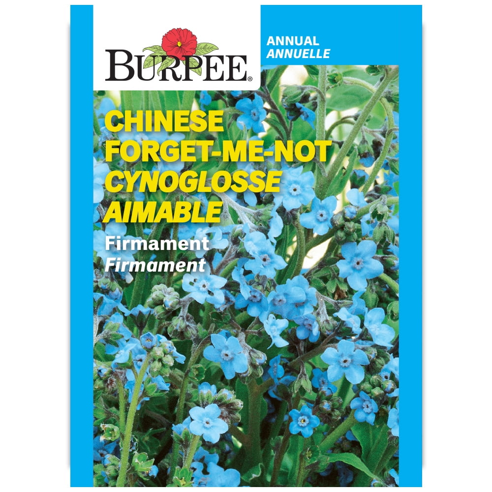 Click here for Burpee Canada Burpee Firmament Chinese Forget-Me-N... prices