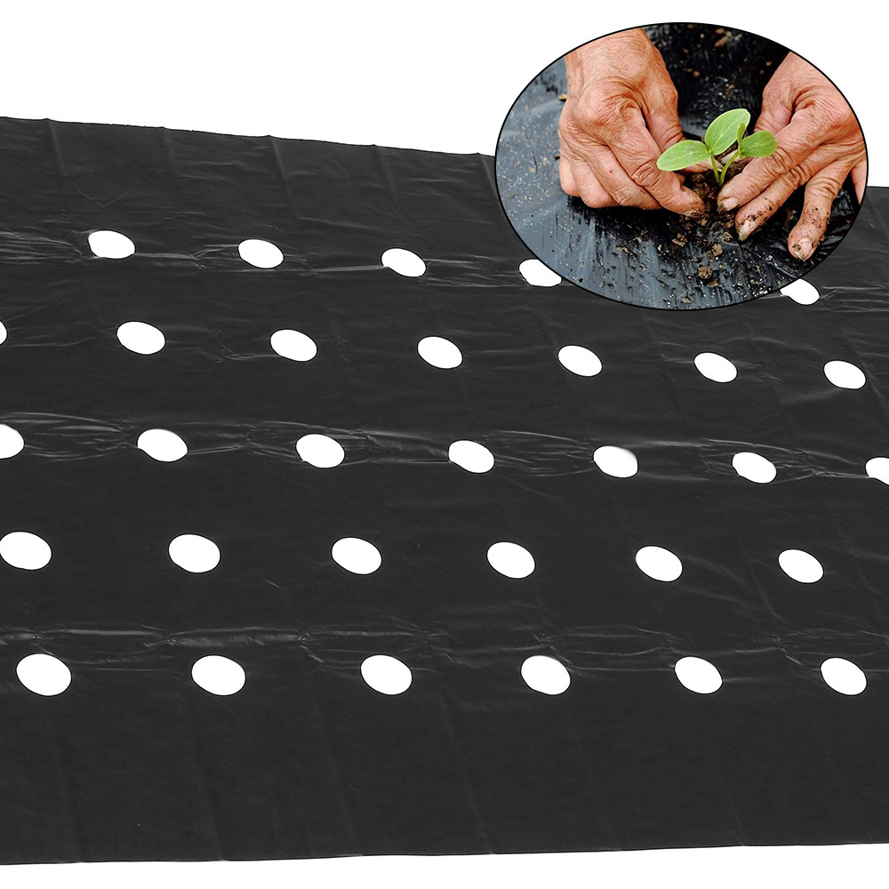 Fyeme Garden Agricultural Plastic Sheet Greenhouse Cover Vegetable Weed ...