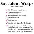Succulent Pot Wraps For Wedding Favors Bridal Shower Fits Most 2 Inch Square Pots Peel And