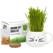 Cat A'Bout Freshly Grown Cat Grass Plus, Natural Digestive Aid ...