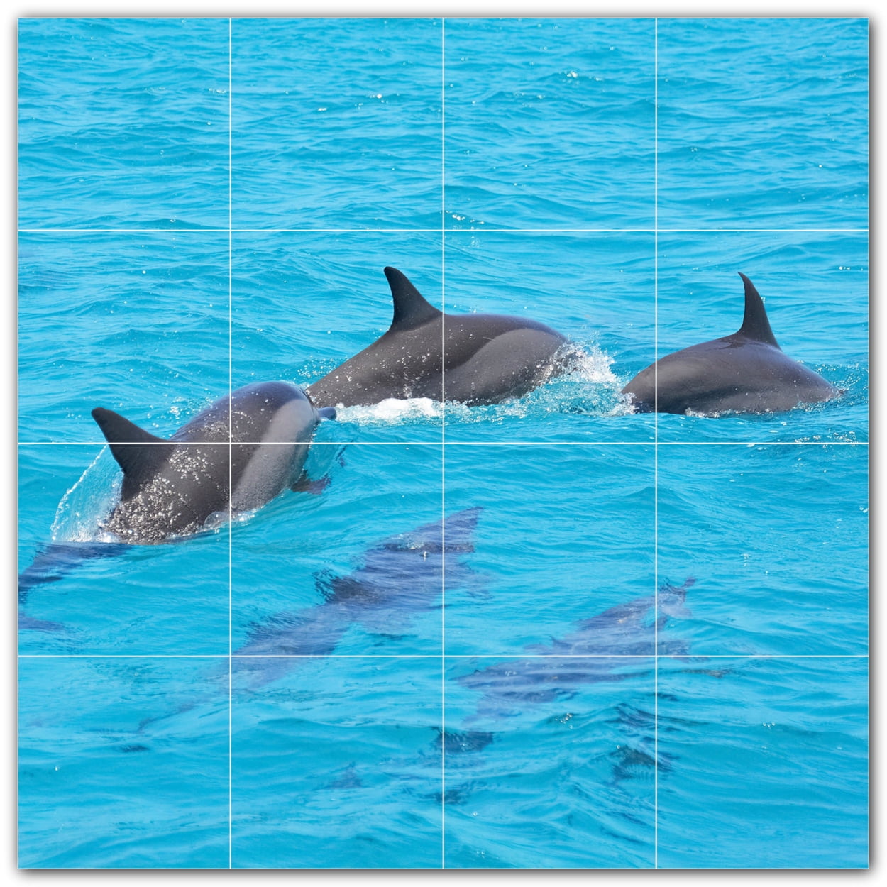 Picture-Tiles.com: Dolphin Ceramic Tile Wall Mural WAL500500-44XL. 48"W ...