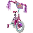 Shop Paw Patrol 12-inch Girls Training Wheel Bike, Ages 3+ Years, Pink ...