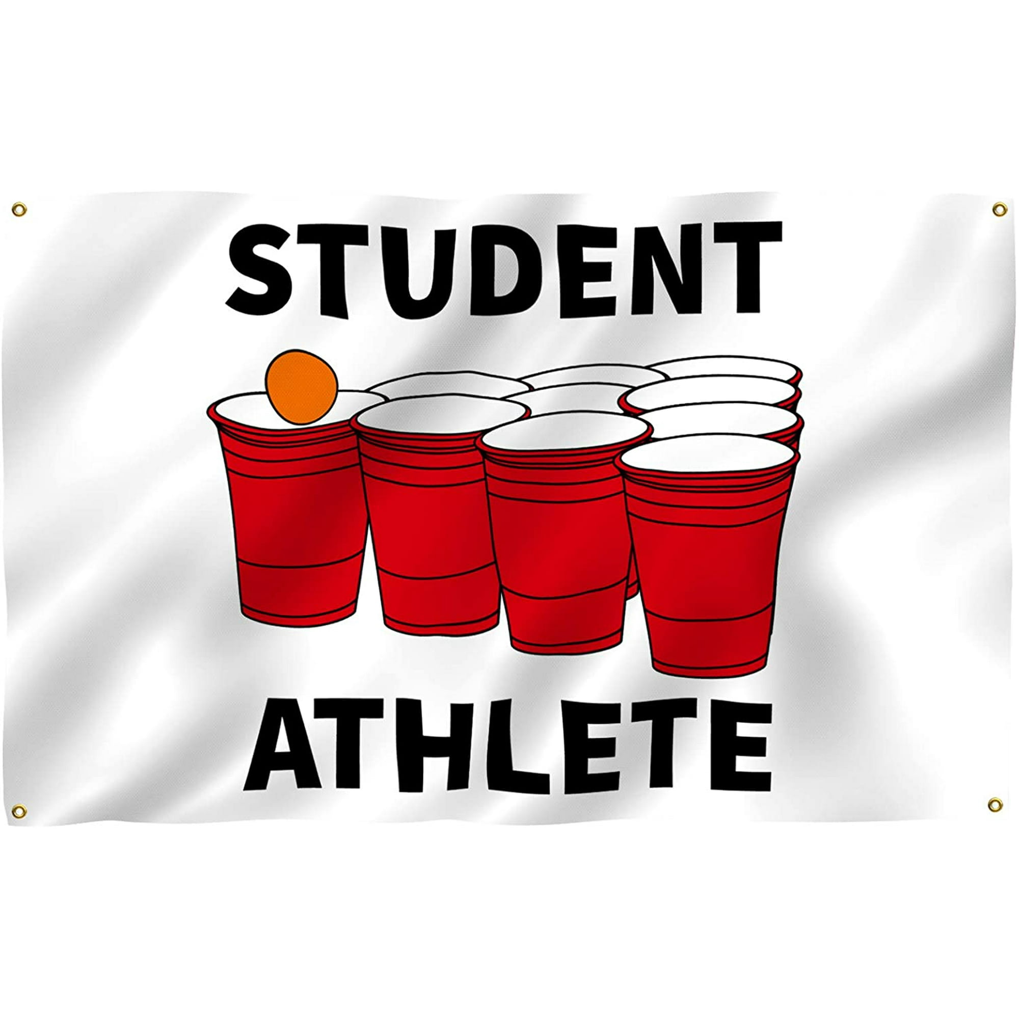 Click here for Anley Fly Breeze 3x5 Foot Student Athlete Flag -No... prices