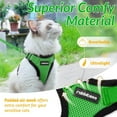 rabbitgoo Cat Harness and Leash for Walking, Escape Proof Soft ...