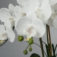 Orchids Artificial Flowers 18" White Phalaenopsis Large Orchid with ...
