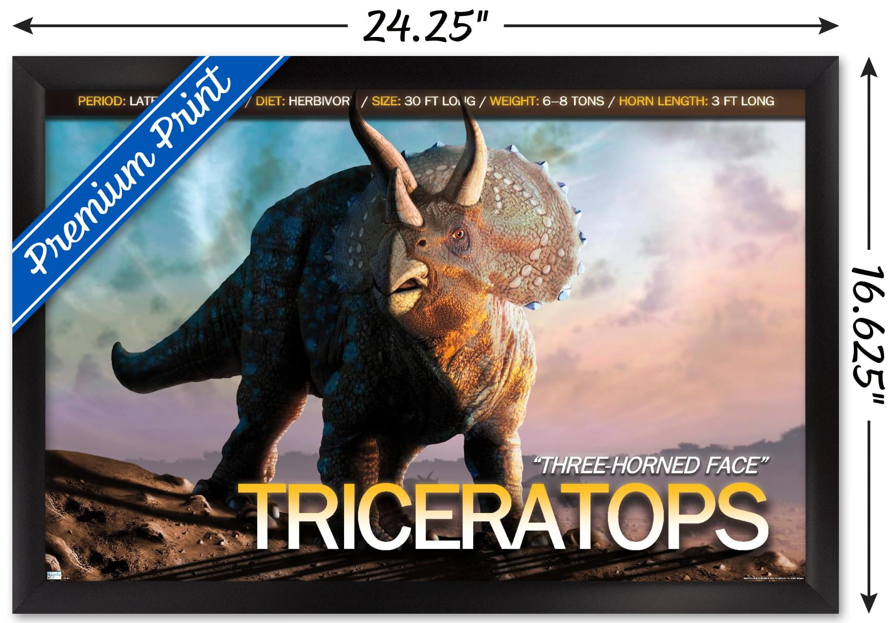 Dinosaur King Pachyrhinosaurus Card