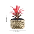 Artificial Pineapple Top Plant, Faux Pineapple Leaves in Woven Basket ...