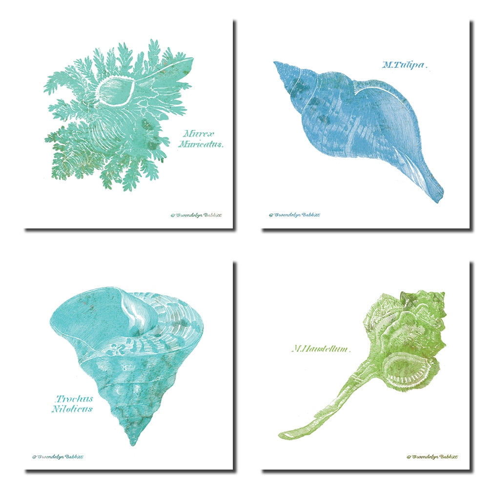 Elegant Retro Shells; Beautiful Teal Blue and Green Shells; Coastal ...