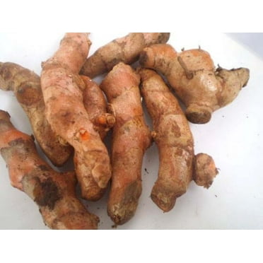 Fresh Wild None GMO - Ginger Root - Item Weight 8oz - Walmart.com