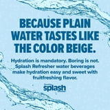 Splash Rocket Freeze Sparkling Water 12 fl oz 8 cans with electrolytes ...