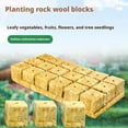 Rock Wool Grow Cubes Starter Plugs Hydroponic Grow Media for Cloning ...