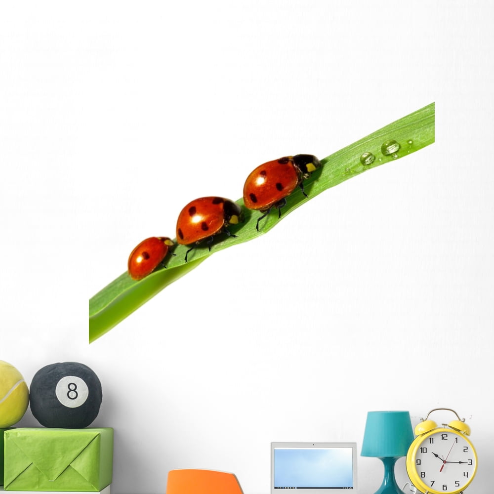 Family Ladybugs Green Leaf Wall Mural Decal by Wallmonkeys Vinyl Peel ...