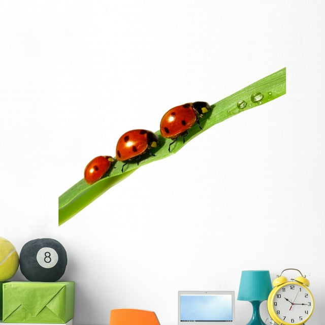 Family Ladybugs Green Leaf Wall Mural Decal by Wallmonkeys Vinyl Peel ...