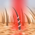 Hairmax FDA Cleared Laser Hair Growth Cap, Hair Loss & Regrowth ...