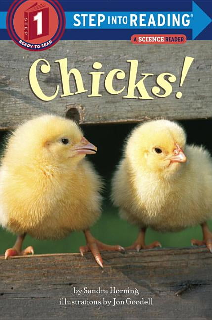 Chicks! (Paperback) - Walmart.com
