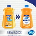 Dial Gold Antibacterial Hand Soap Refill, 52 fl oz, Bacterial ...