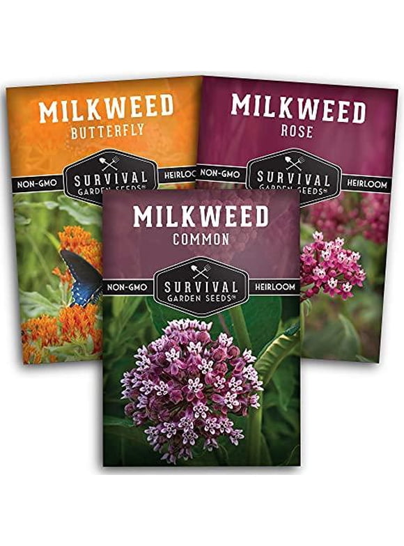 Flower Seeds in Seed Gardening - Walmart.com