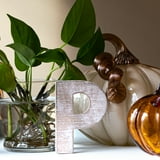 On the Surface Rustic Letter P, 1 Each - Walmart.com