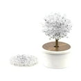 Iuhan Crystal Growing Tree Kit, Science Experiment forKids ...