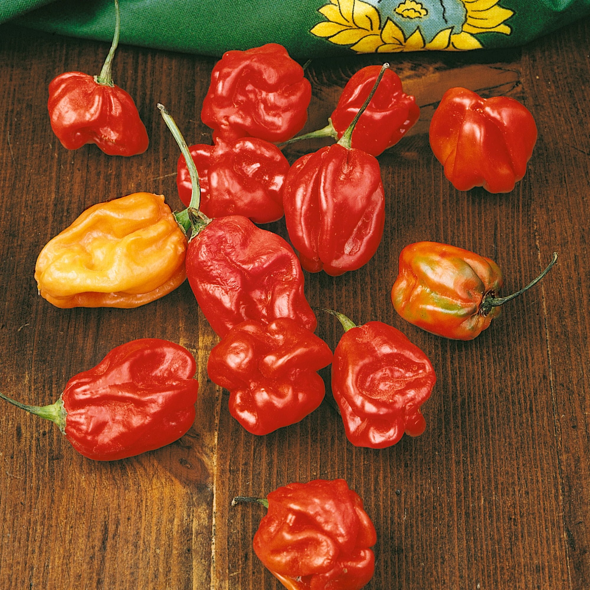 Habanero Sweet Red Hot Pepper Seeds - 1 Oz ~5000 Seeds - Non-GMO ...