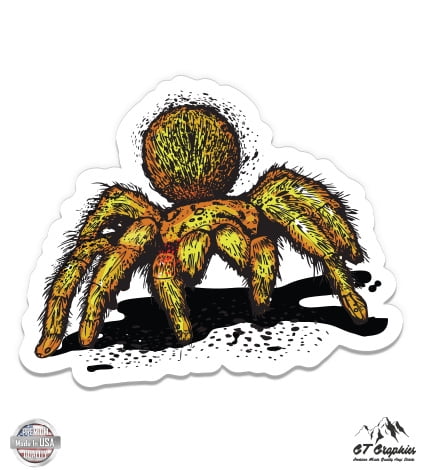 Tarantula - 12" Vinyl Sticker Waterproof Decal - Walmart.com