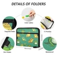 ALAZA Expanding File Folder 13 Pockets Accordion Document Organizer ...