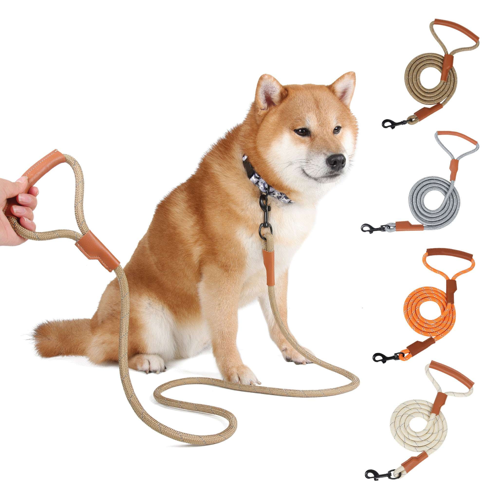 Spencer New 5FT Dog Leash with Comfortable Padded Handle Nylon ...