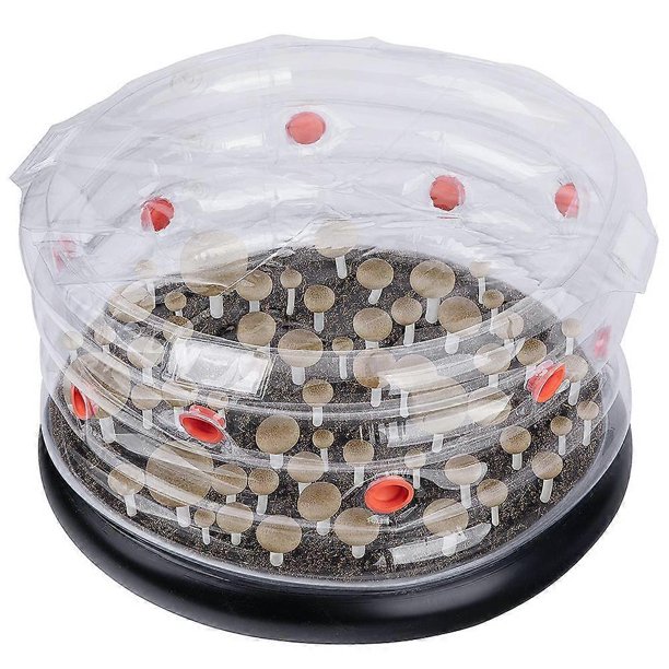 Kit de cultivo de hongos monotubular redondo: bolsa de cultivo de ...