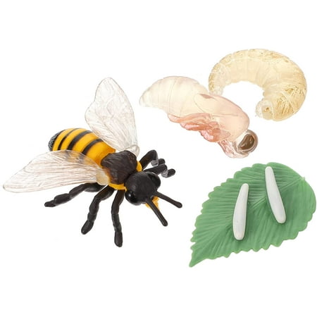 HTCM 1 Set Life Cycle of a Bee, Early Education Insect Figures Bee Life ...