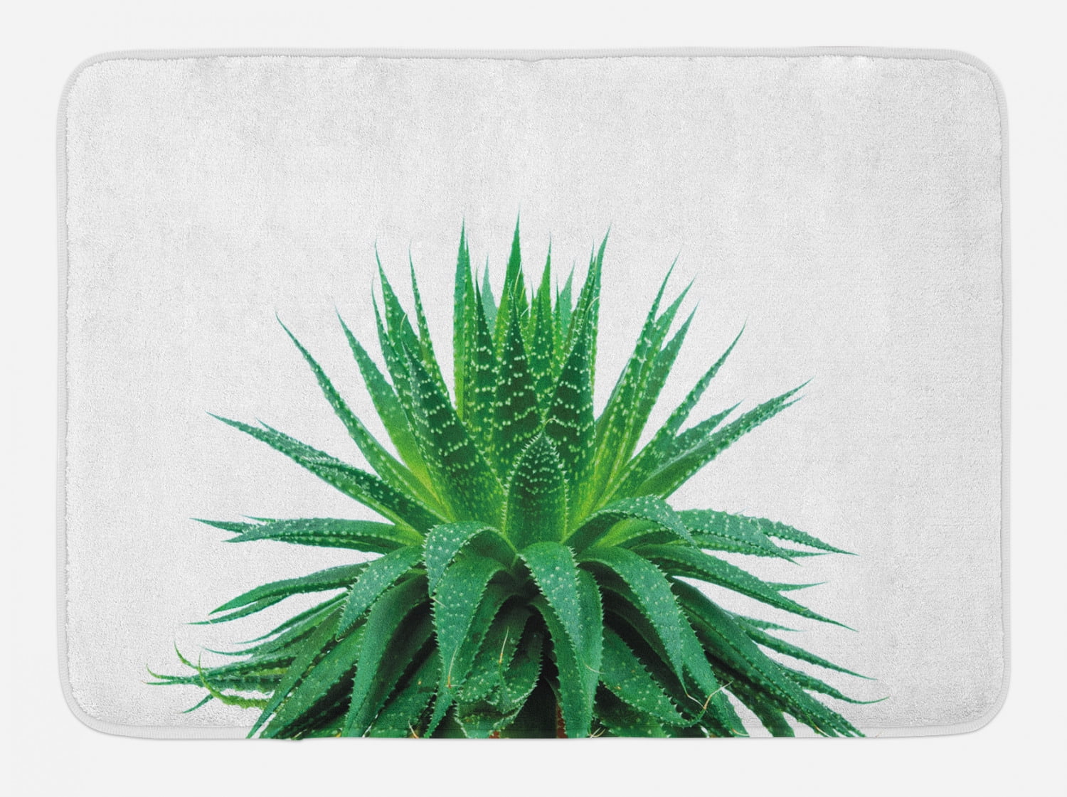 Plant Bath Mat, Medicinal Aloe Vera with Vibrant Colors Indigenous ...