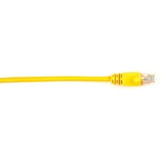 Cat 6 Box