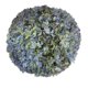 Hydrangeas Jumbo 12 Stems of Green and Hulk Farm Direct Fresh Cut ...