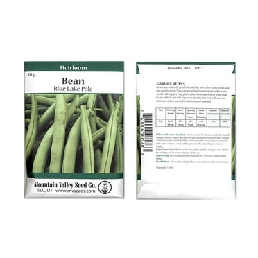 Blue Lake Bush Bean 274 Seeds - 18 Gram Packet - Non-GMO, Heirloom ...