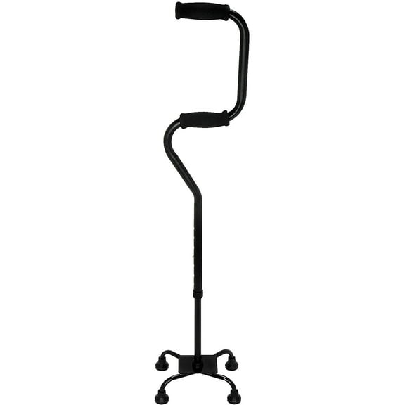 My Get Up & Go Cane - The Convenient Two-Handle Walking Cane For ...