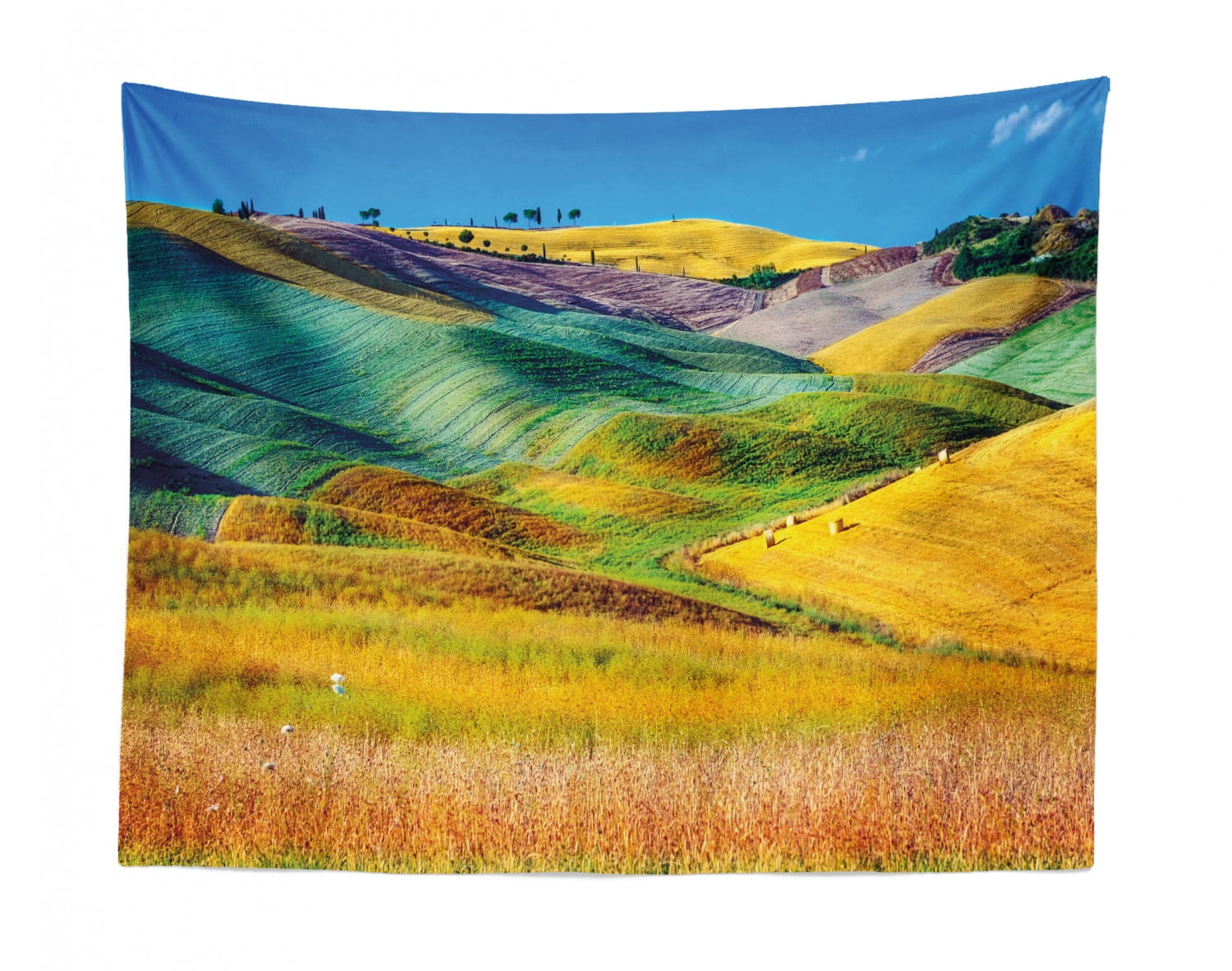 Science Tapestry, Cartoon Illustrated Chart of Animals of The World and ...