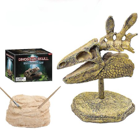 Stegosaurus Skull Excavation Dig Science Kits Children Archeology ...