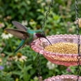 Hanging Bird Feeder, Outdoor Decorative Bird Bathing Basin, Balcony ...