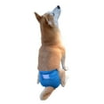 Adjustable Female Dog Diaper Pants, Reusable Dog Period Underwear Pet ...