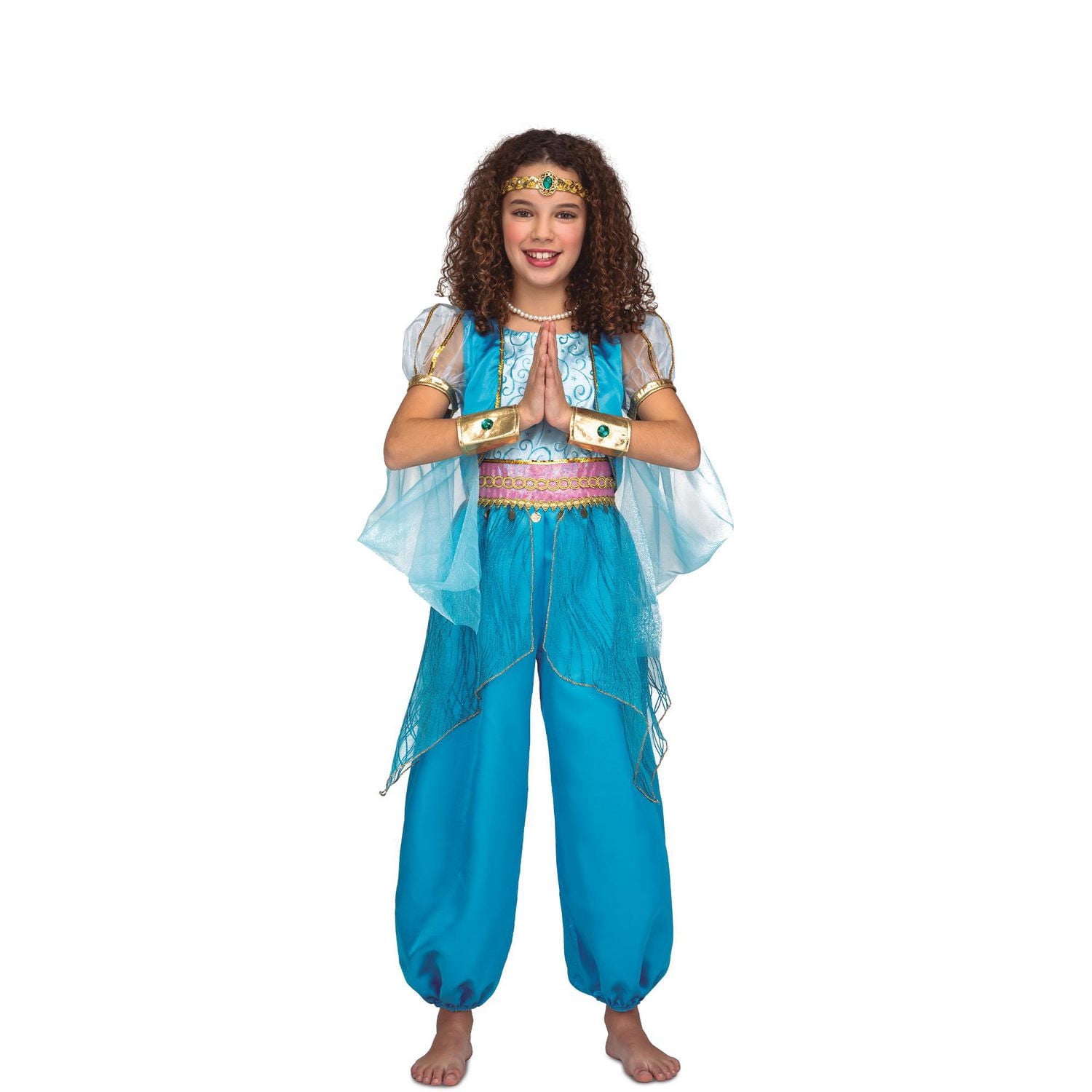 Click here for F-Myotherme Fun Co Blue Arab Princess prices