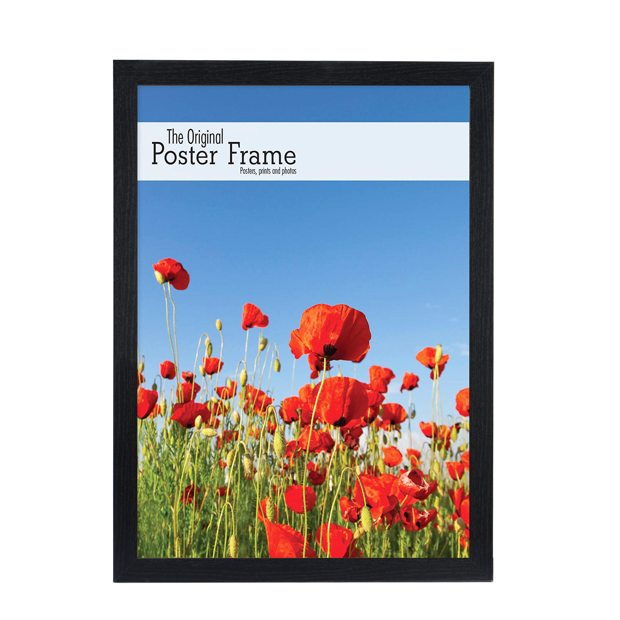 Moustache Poster Frame 16.5" x 23.3 ", Wall Mounting | Walmart Canada