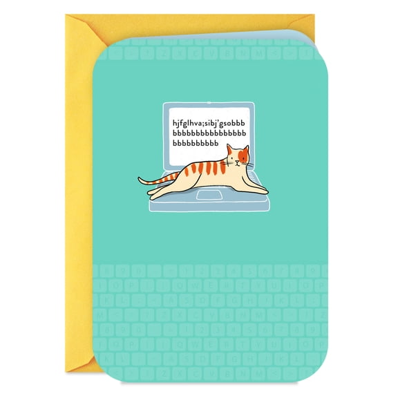 Hallmark Shoebox Funny Birthday Greeting Card (Judgmental Cat in Party ...