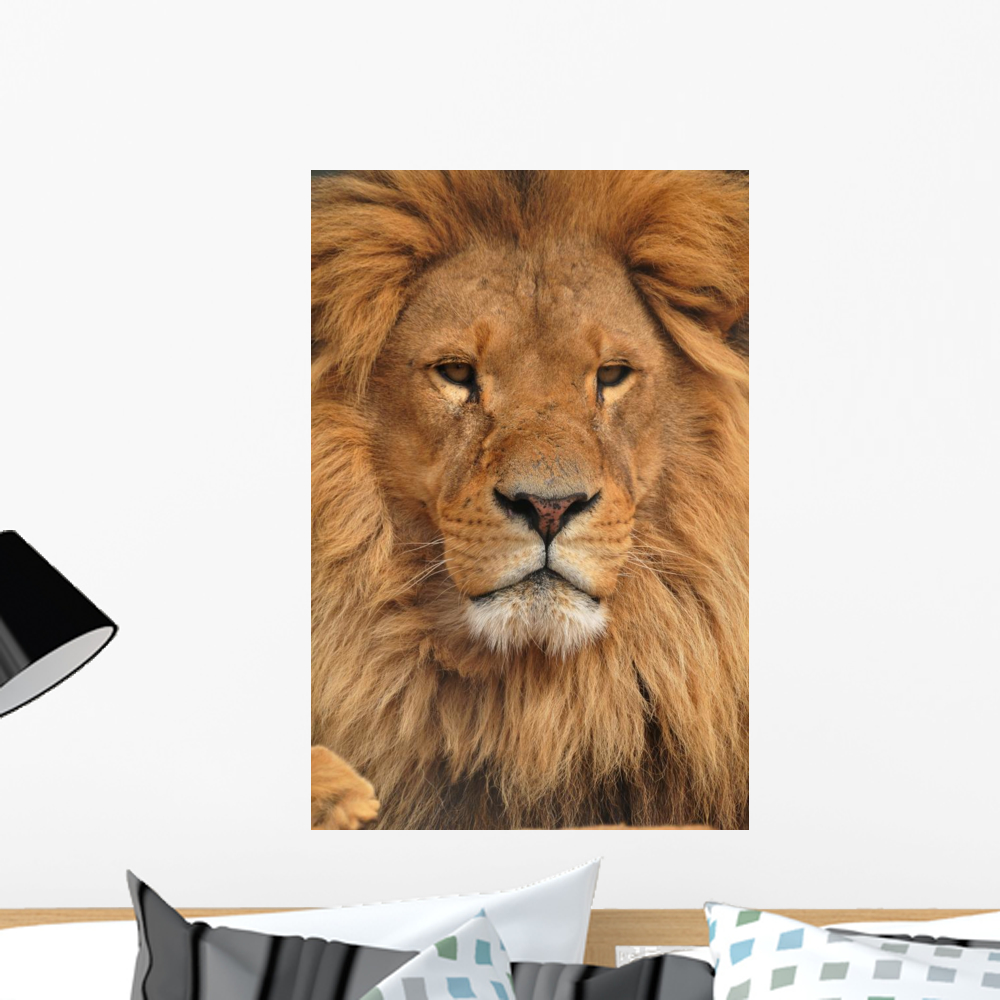 Lion Face Wall Mural by Wallmonkeys Peel and Stick Graphic (24 in H x ...