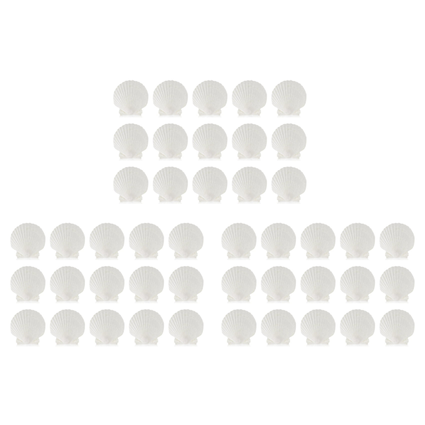 Click here for Unbranded 45 Pcs Natural Sea Shell Large White  4-... prices