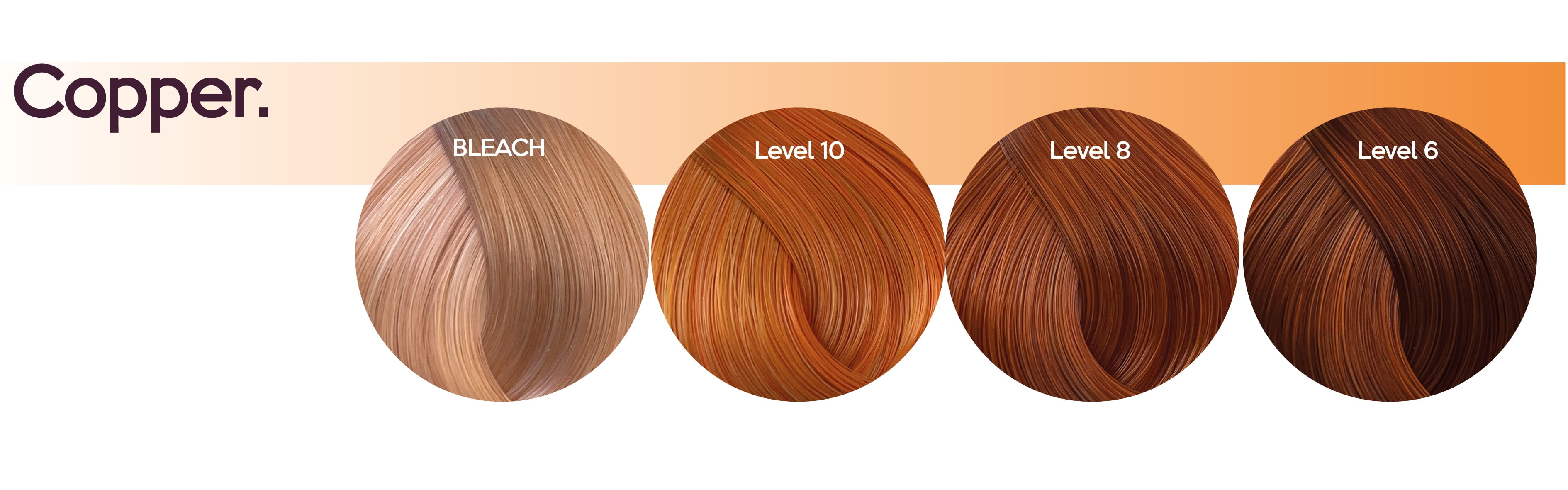 Ion Color Brilliance Light Copper Blonde