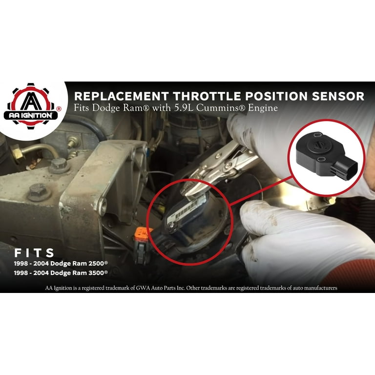 503 Service Unavailable