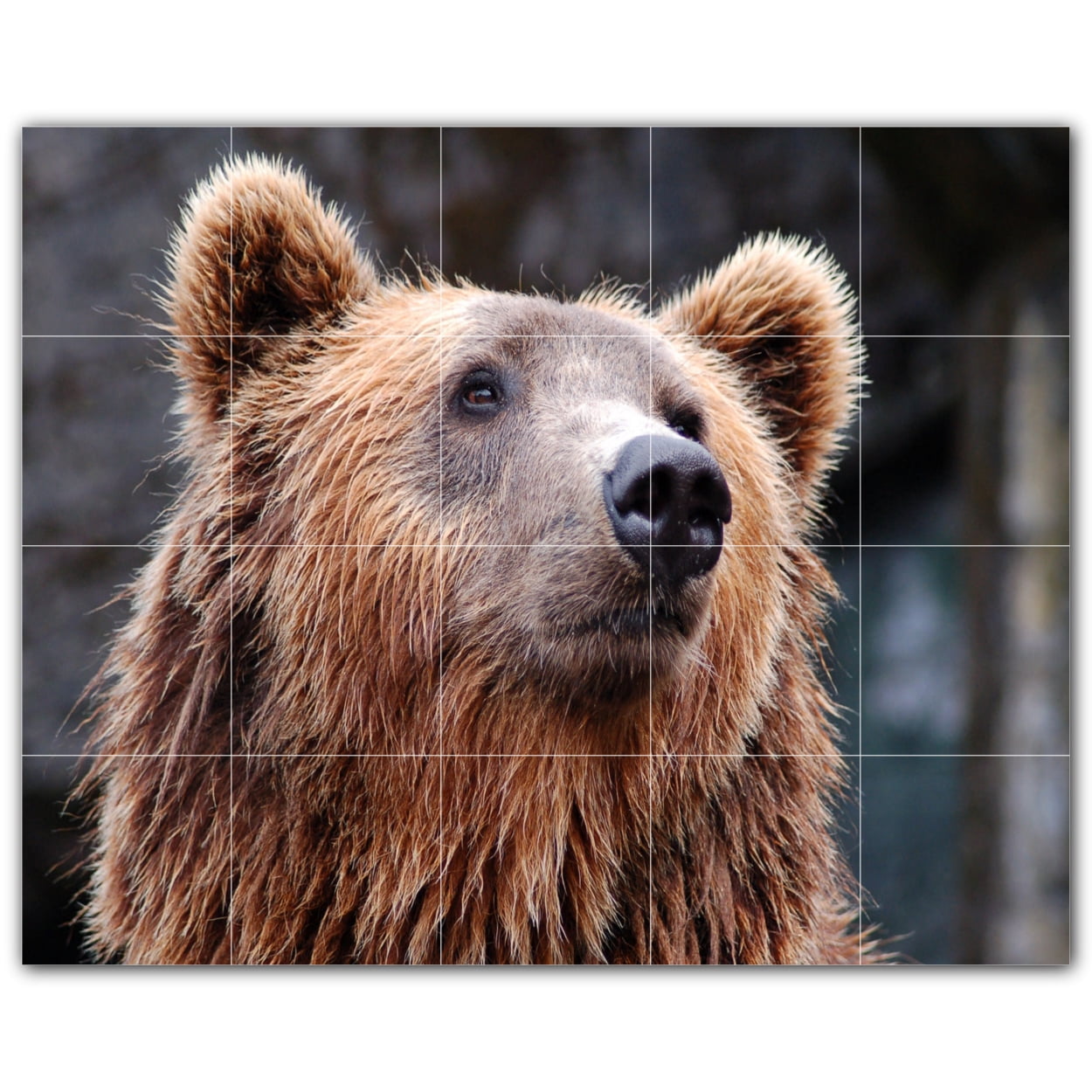 Picture-Tiles.com: Bear Ceramic Tile Wall Mural WAL500127-54XL. 60"W x ...